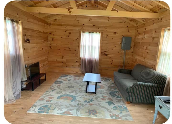 Comfy Lakeside Cabin (Brown Roof) - Mosquito Lake State Park, Cortland