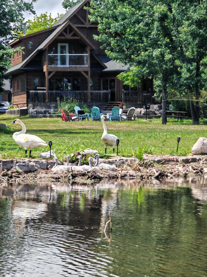 Cozy Pigeon Lake Cottage - Bobcaygeon