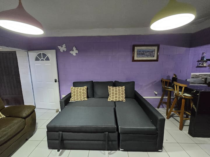 Apartamento Céntrico Y Privado - Santa Ana