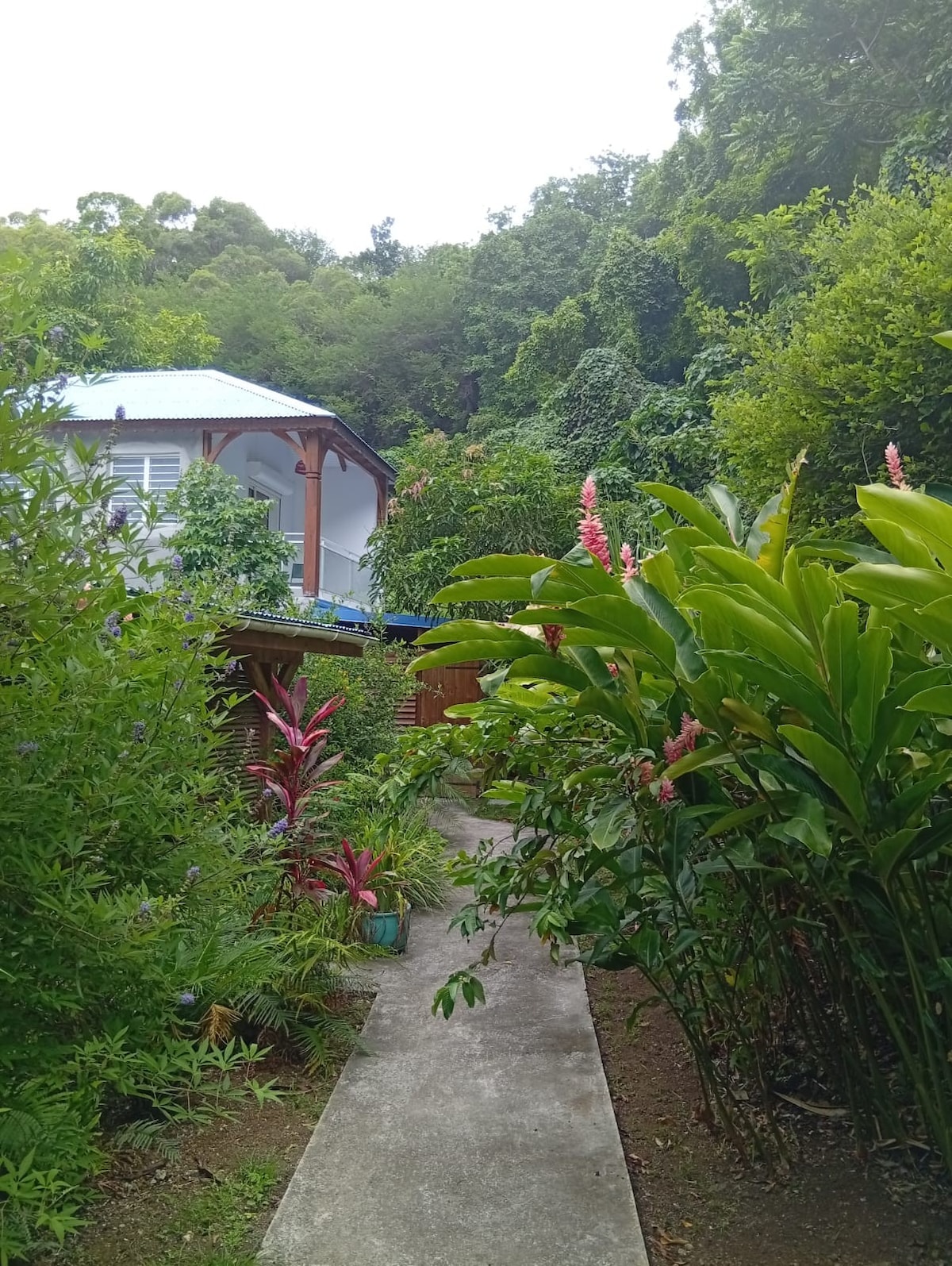 Bangalô dos beija-flores - Casas para Alugar em Le Gosier, Grande-Terre ...