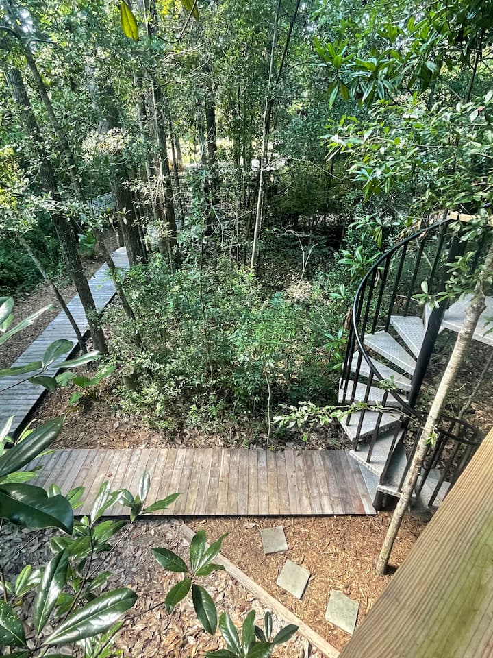 Camo Canopy Cube - Wilmington, NC