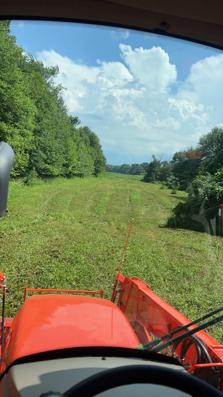 Lost Lands Camping Site - Lost lands festival