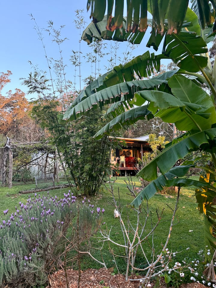 Sanctuary Farmstead Retreat - Timbertown, Wauchope