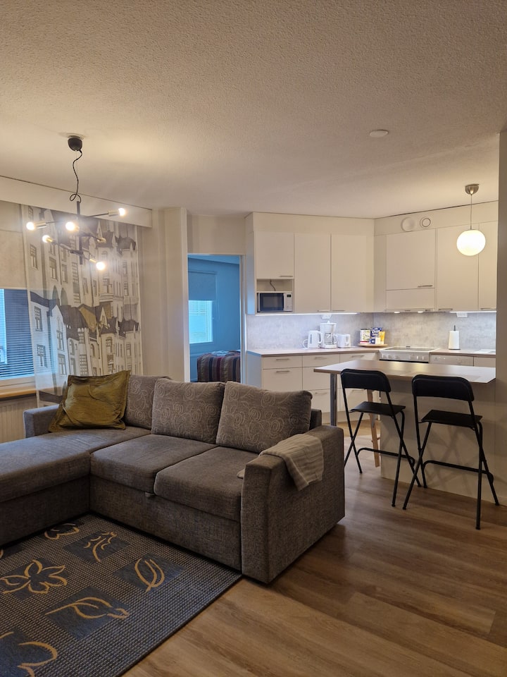 Quiet Apartment In The City Center Kuopio - Kuopio