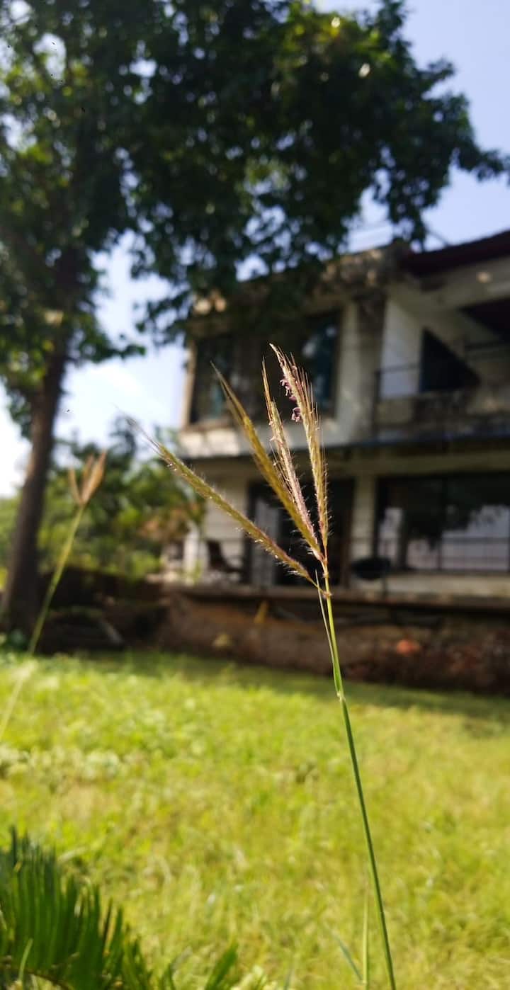 Nayaa - Riverside Retreat - Wada