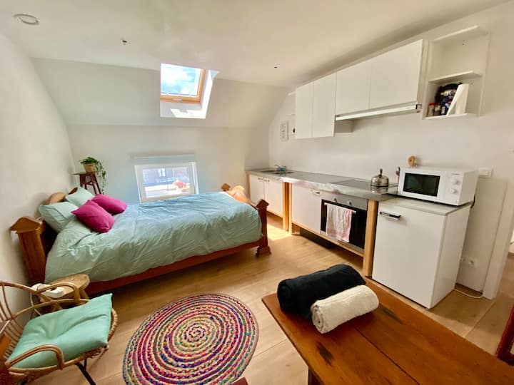 Cozy Bright Room With Kitchen - Gand