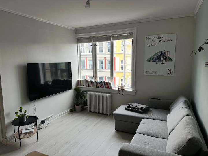 Cozy And Central Apartment In The Heart Of Oslo - Oslo