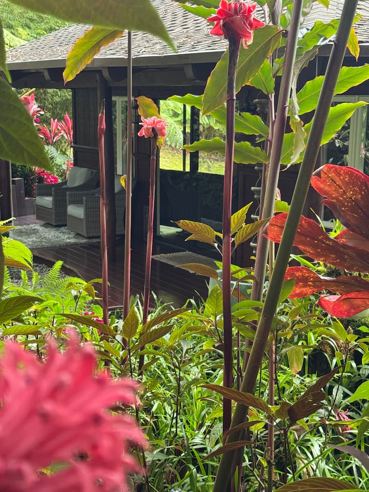 Romantic Private Forest Guest House Ta065882726401 - Kailua-Kona, HI