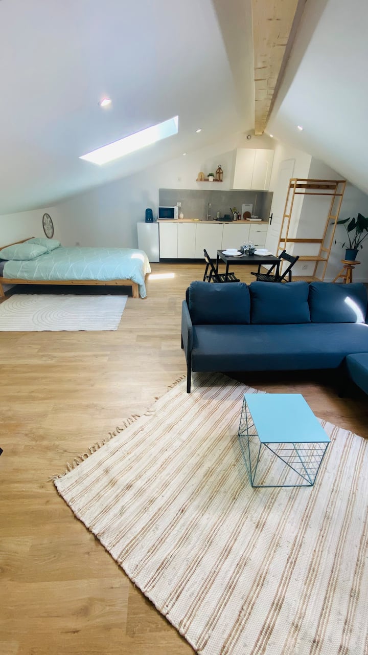 Studio "Verge D'or" 5 - Toulouse