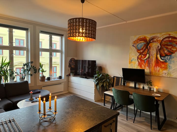 Oslo City-center Apt • Gym • Quiet Yard Bedroom - Oslo