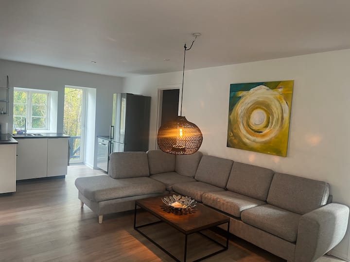 Rummelig Lejlighed Tæt På Natur Og Centrum - Odense