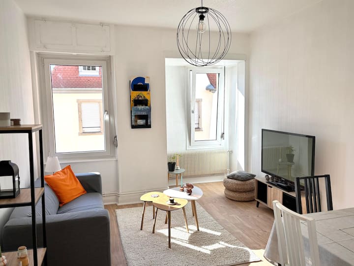 Appartement De Charme, Proche Centre-ville Et Gare - Colmar