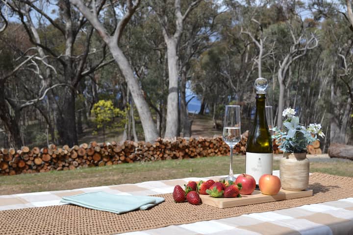 The Hideout
20 Acres
Of Flora And Fauna - Alexandra