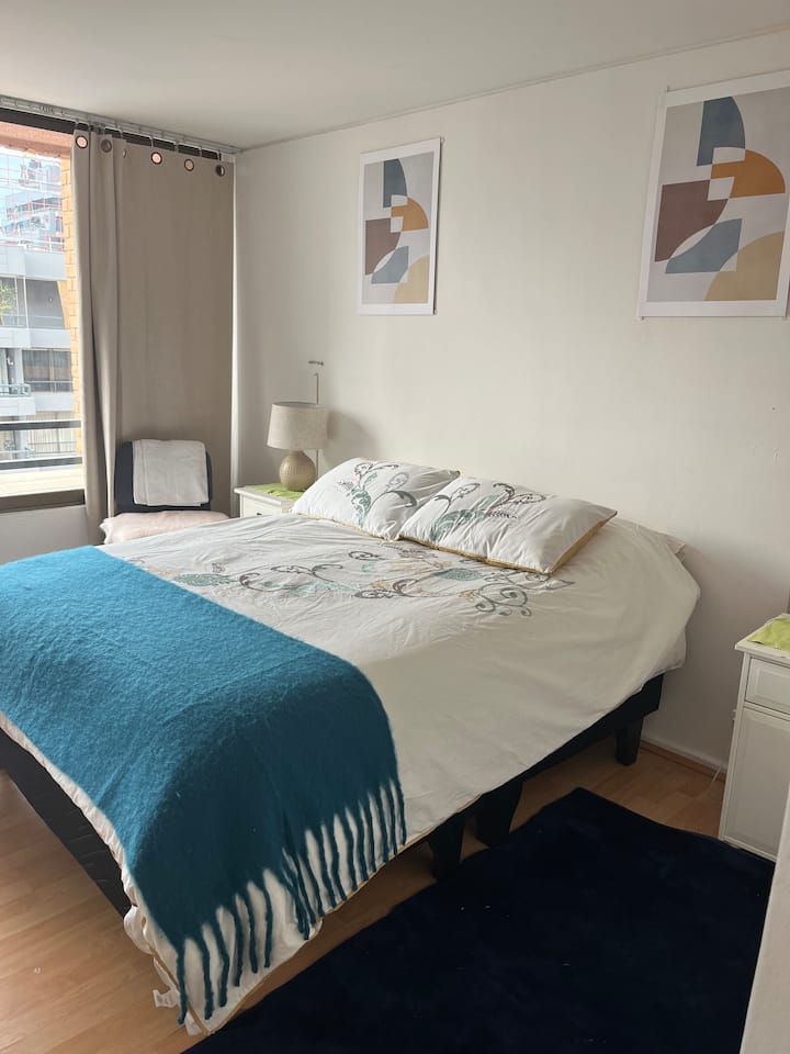 Fantástico Departamento En El Centro Providencia - Providencia