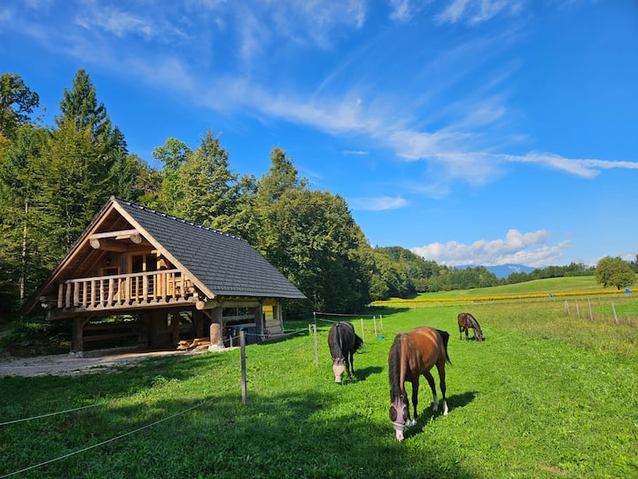 Unikatna Lesena Hiša Z Razgledom Na Gore In Konje - Bled