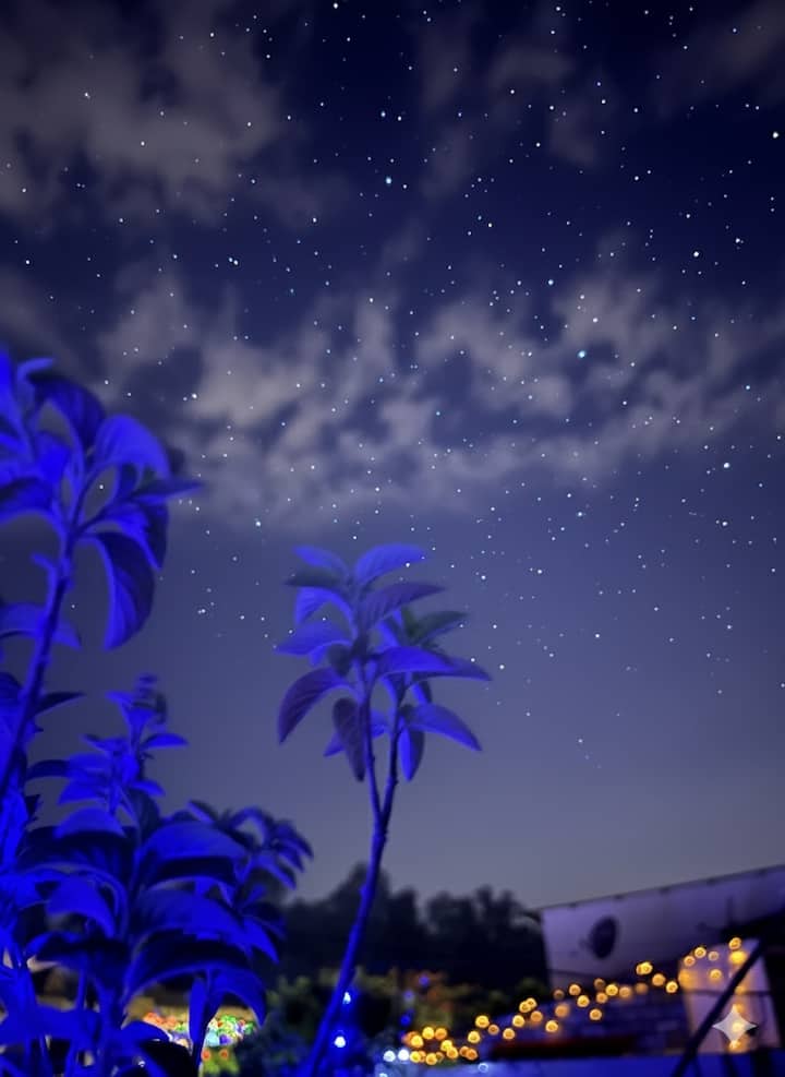 “Mountain View Paradise” Epic Views+curated Decor - Dehradun