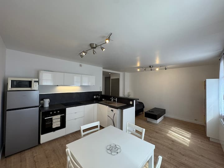 Charmant T3 60m2 Grenoble Centre 2 Chambres - Grenoble