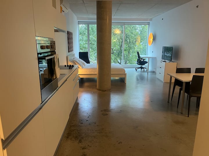 F - 05 Loft - Montréal, QC