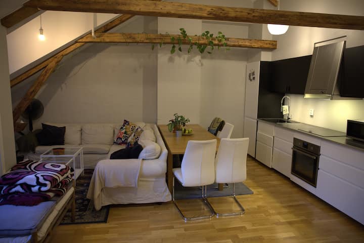 Romslig Leilighet Med Særpreg Og Høy Takhøyde - Oslo