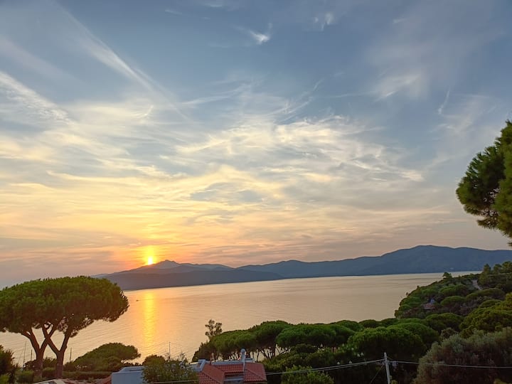 Colibri41elba-mami Suite - Capoliveri