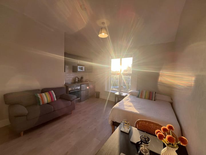 Lury's Studio Apartment - Dublin