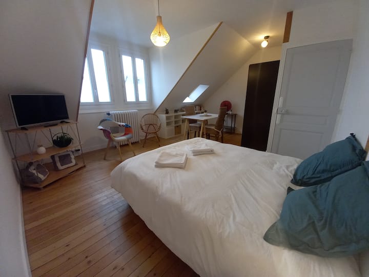 Chambre Circuit 24h Du Mans Située En Centre-ville - Le Mans