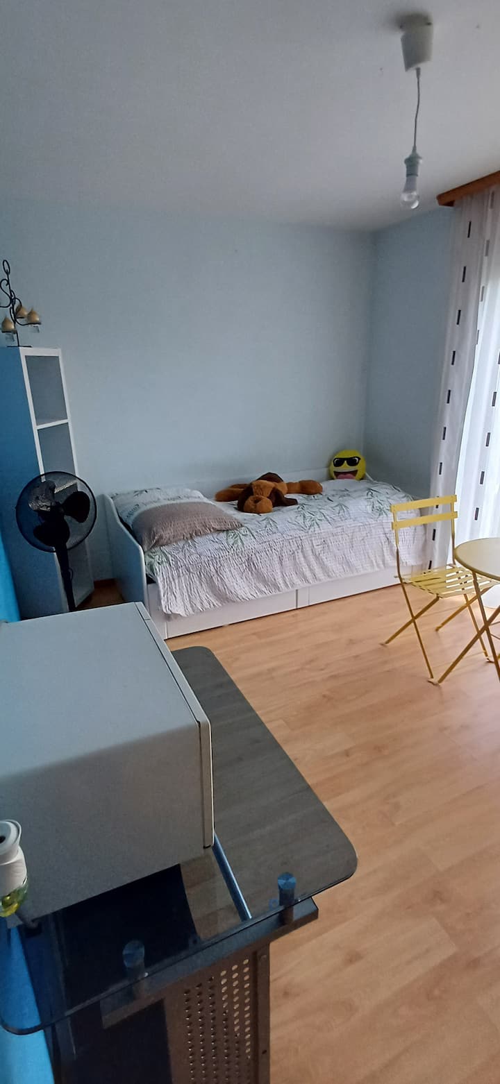 Chambre Avec Grande Armoire Au Rez-de-chaussée. - Yvonand