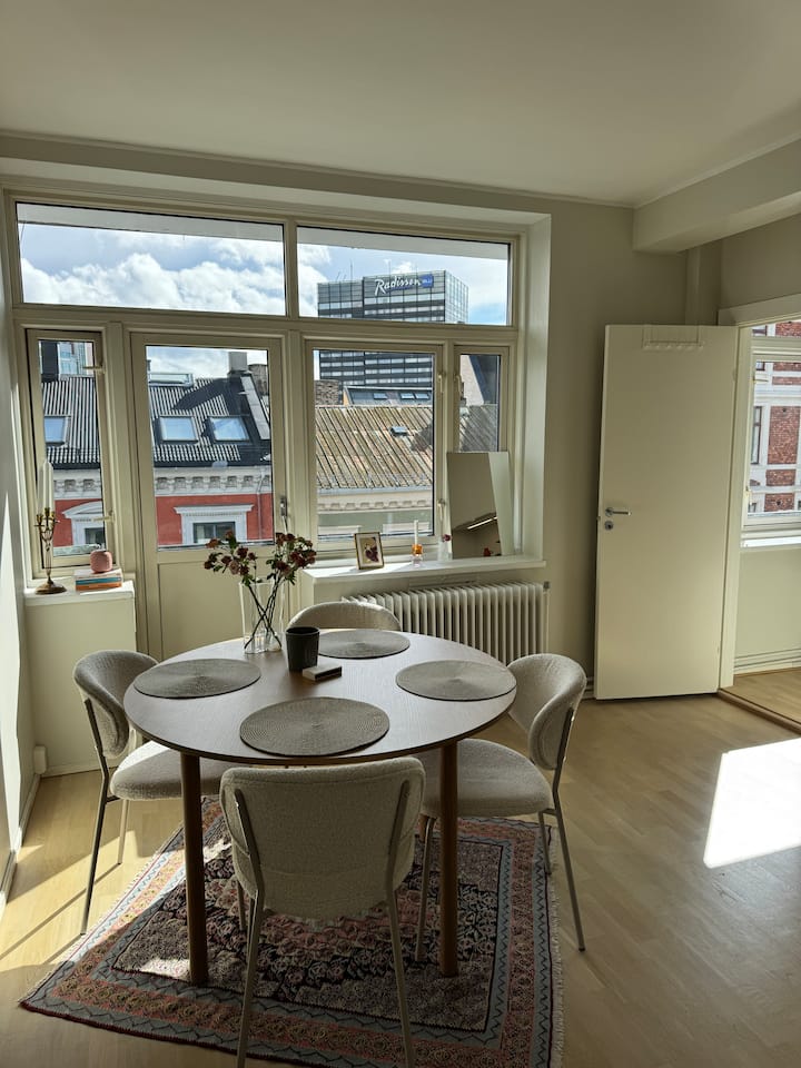 Koselig Leilighet Med Balkong - Rett Ved Slottet - 奧斯陸