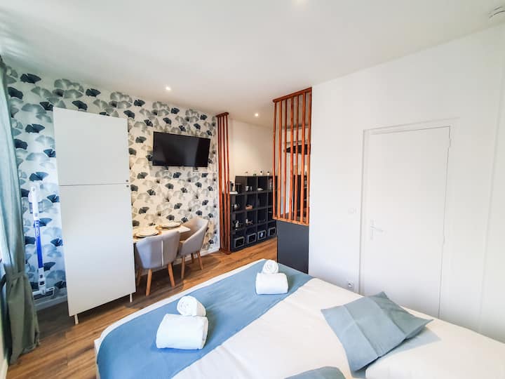 Studio Climatisé Avec Lit Grand Format - Albi