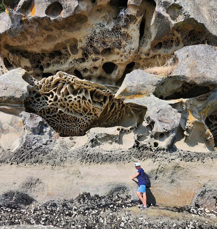 Where Trails Meet Lake Tranquility- Sleeps 7 - Nanaimo