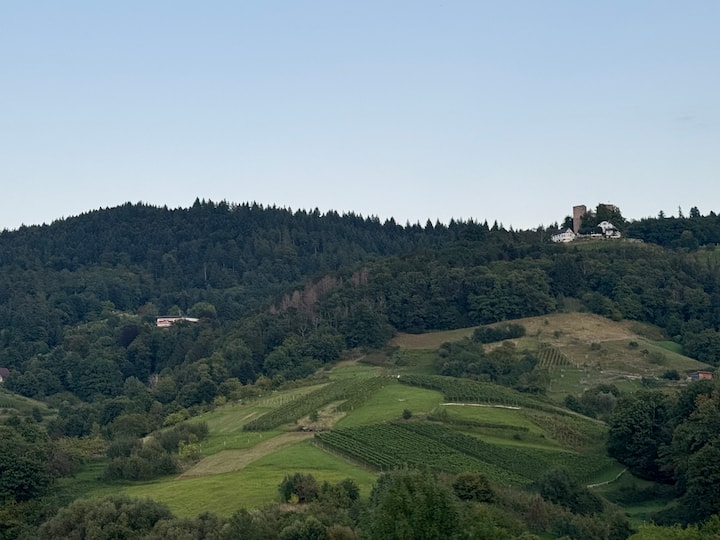 Haus Burgblick – Schwarzwald-auszeit Mit Sauna - Baden-Baden