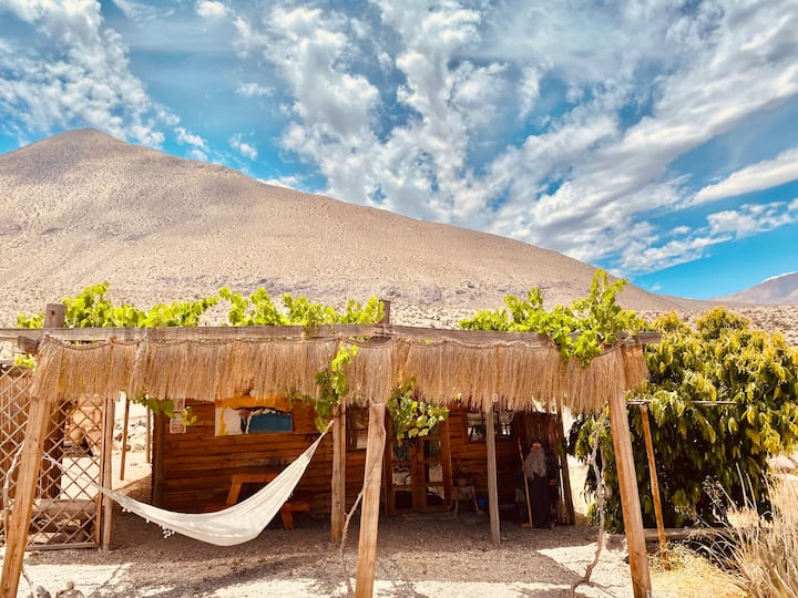 Cabaña Del Alquimista De Mamalluca - Vicuña