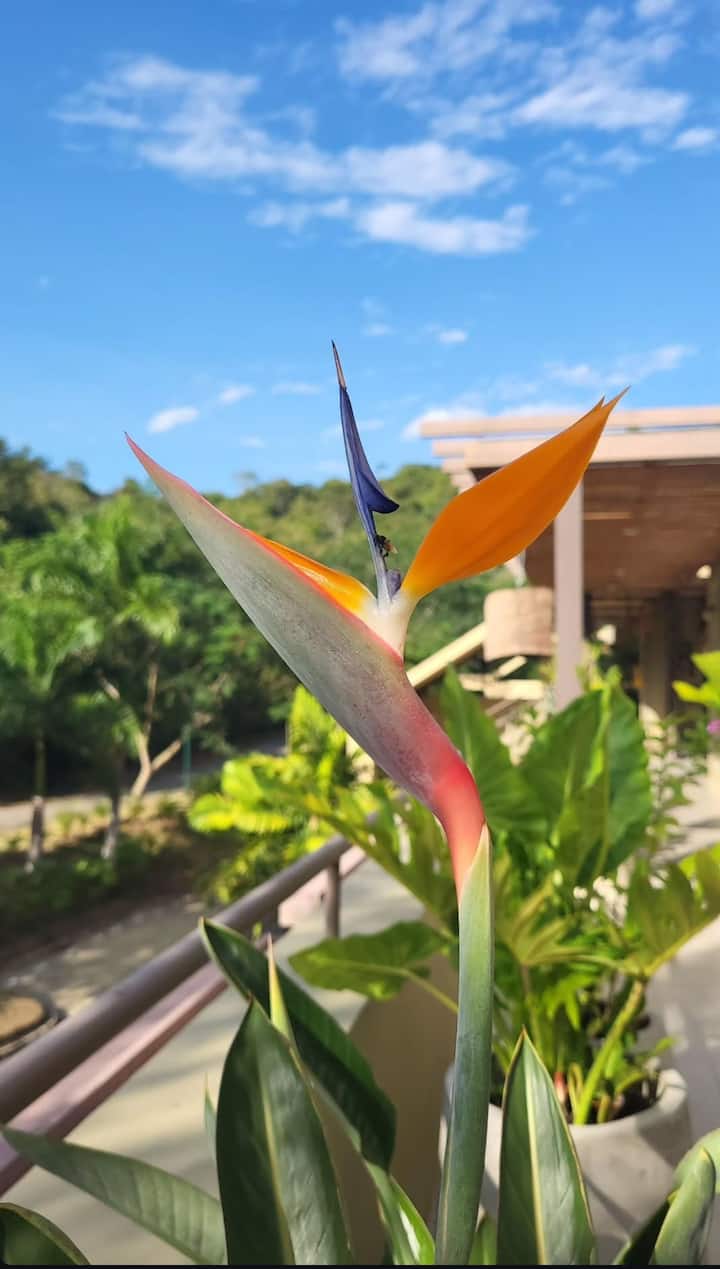 Multivilla Club Mesa De Yeguas Anapoima - Anapoima