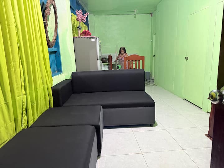 First Guest Called The House The "Green Palace" - Roxas City