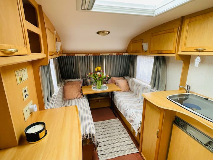 Rulota I Cuibul Sturzilor I Maramures - Satu Mare