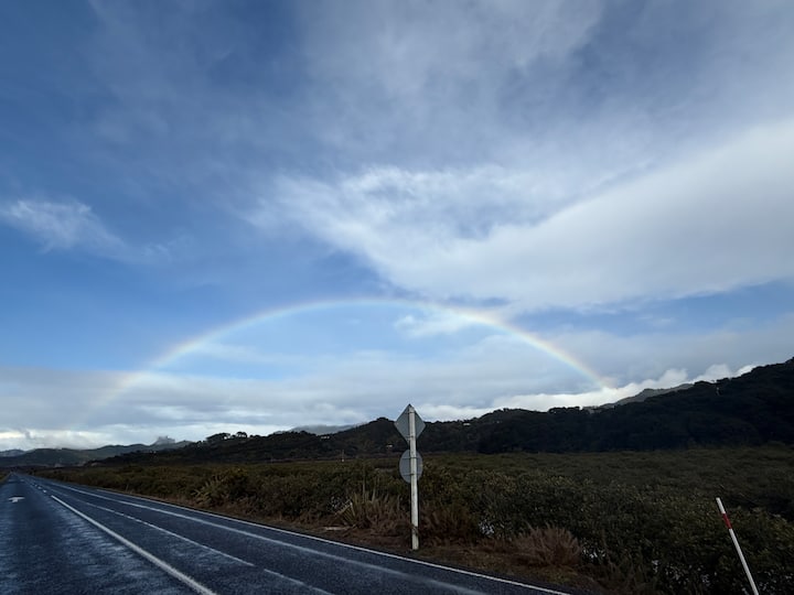 The Whangapoua Tree House - Coromandel