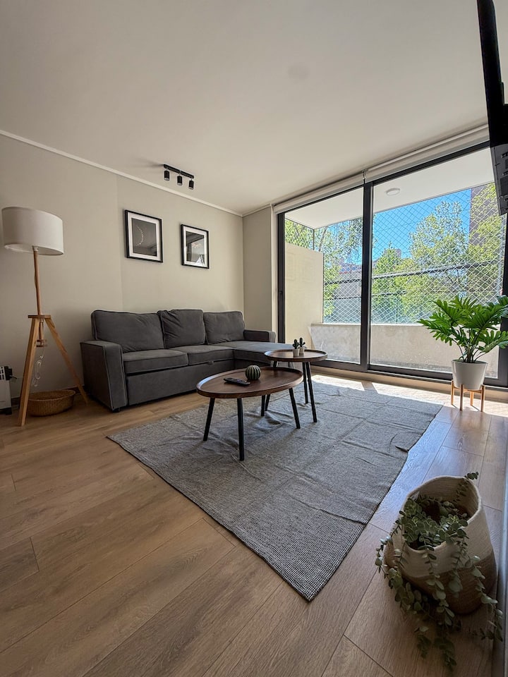 2d/2b - Cozy Apartment, Excellent Location - Providencia, Chile