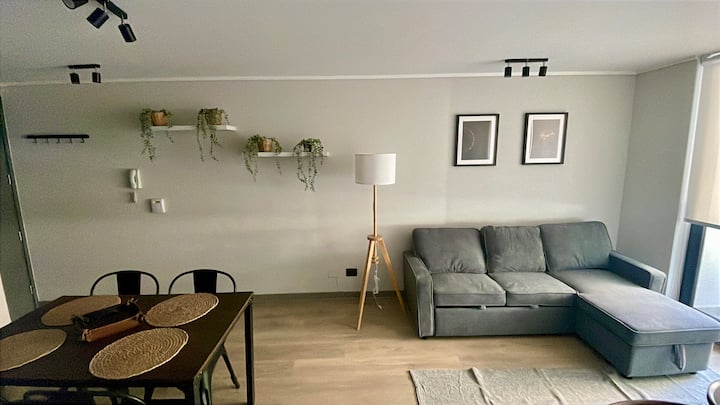 2d/2b - Cozy Apartment, Excellent Location - Providencia
