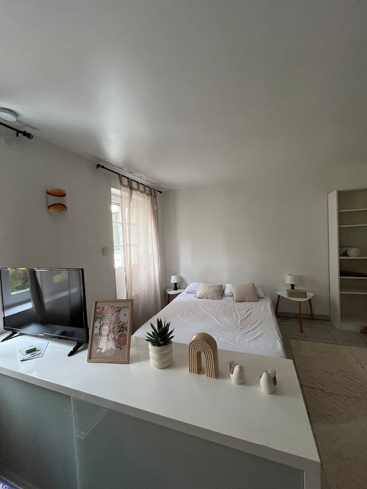 Studio Centre Aix Les Bains - Aix-les-Bains