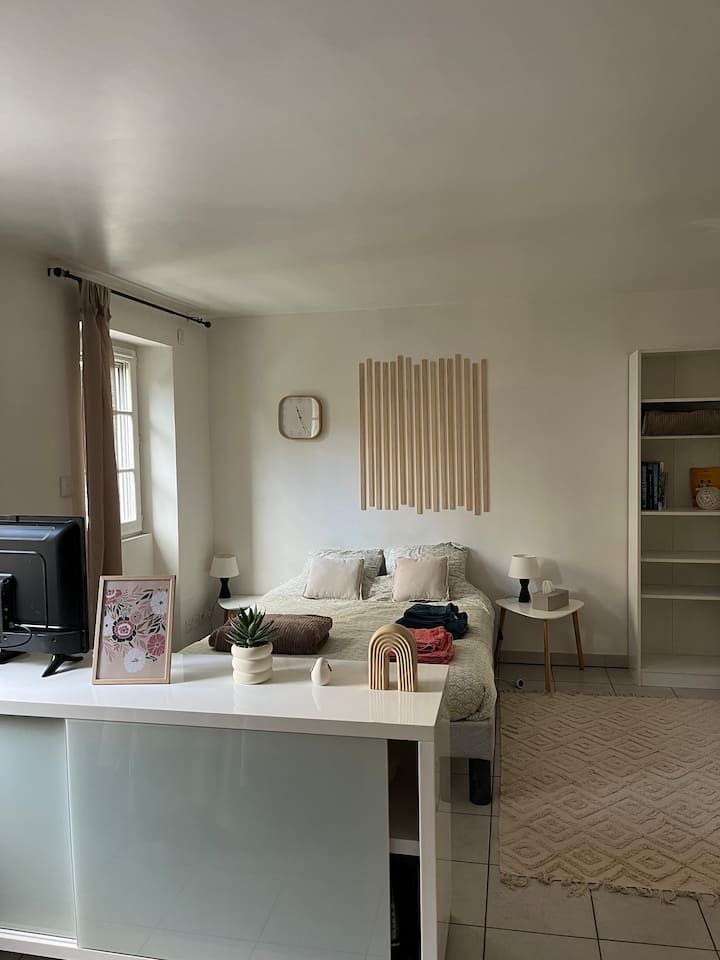 Studio Centre Aix Les Bains / Proche Gare Sncf - 엑쓰 레 방