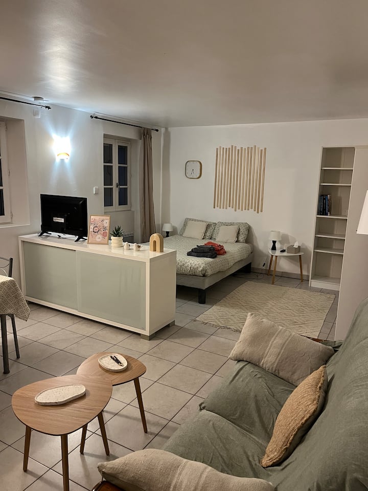 Studio Centre Aix Les Bains - Savoie