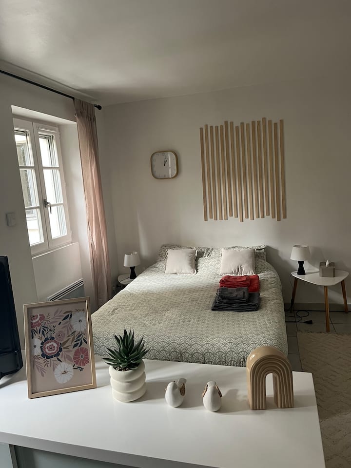 Studio Centre Aix Les Bains - Le Bourget-du-Lac