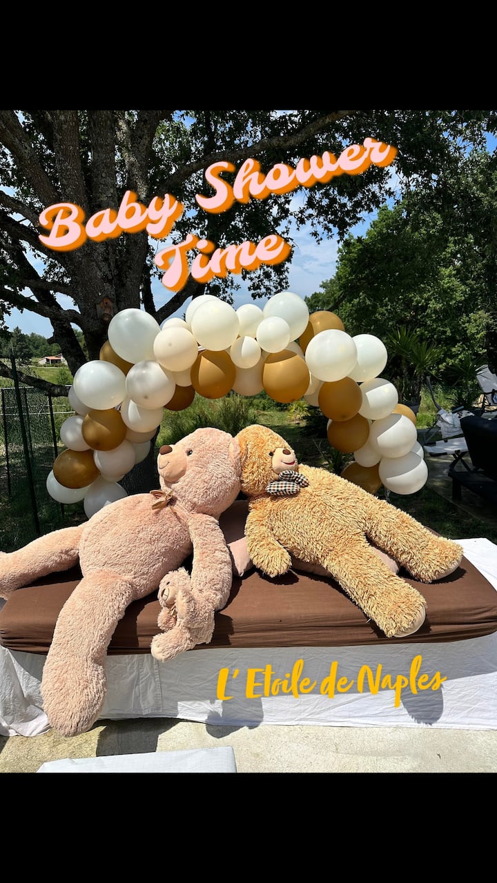 Maison Entière Billard / Piscine - Frankreich