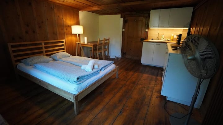 Cozy Mountain View In Wilderswil, Private Studio - Wilderswil