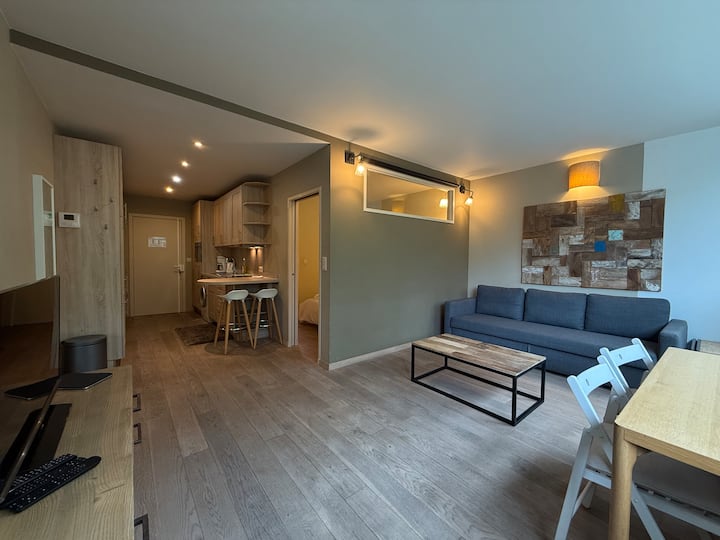 Lumineux 1 Chambre Avec Canapé-lit – Bailli - Ixelles