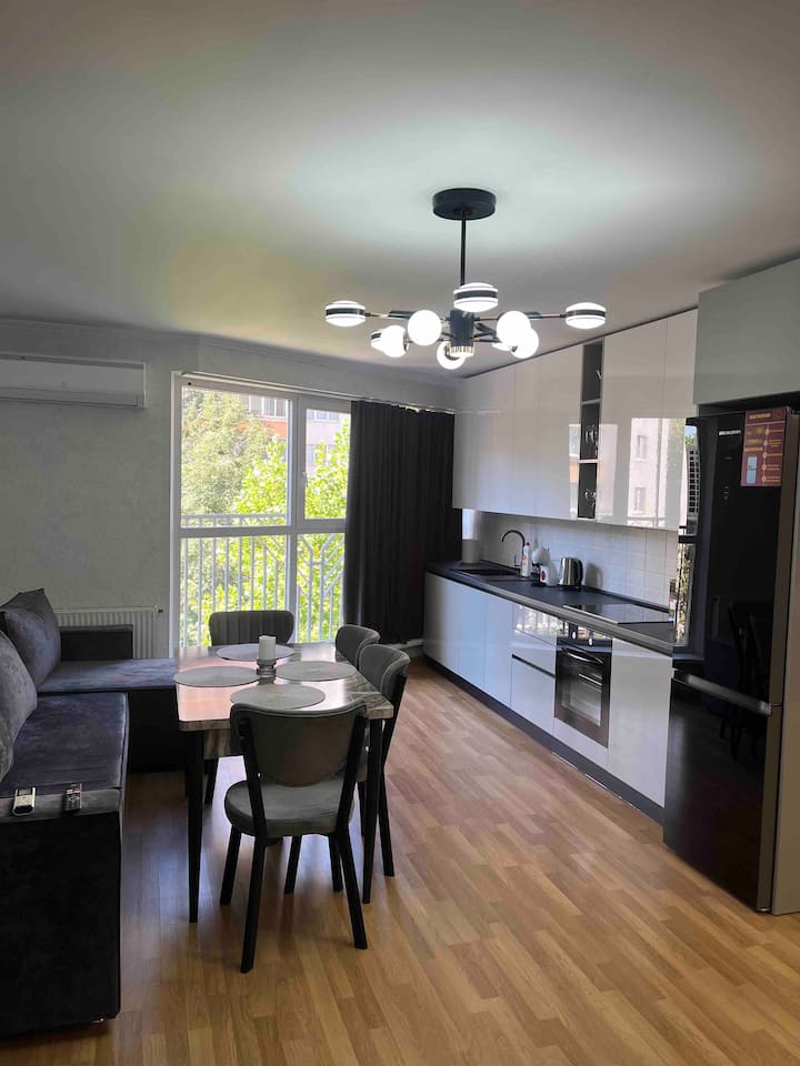 Уютная квартира у парка - Chisinau