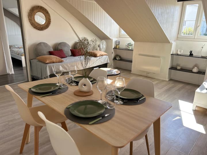 Cosy Appartement - Centre Musée Des Beaux-arts - ibis Budget Pau Est