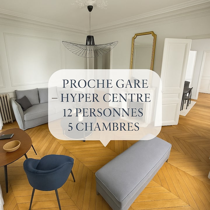Le Spacieux Michelet - Tours