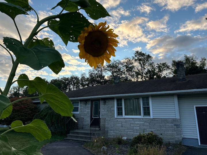 Lovely Affordable Ranch House, Private Backyard - Utica, NY