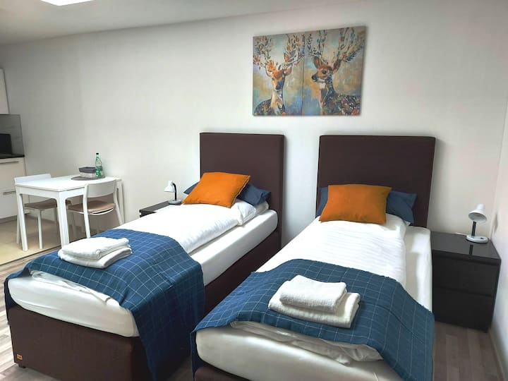 1-zimmer-wohnung In Bad Homburg - Bad Homburg